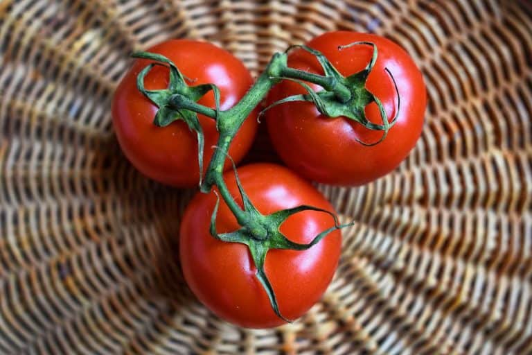 Alkaline Fruit List: What are the Best Alkaline Fruits?